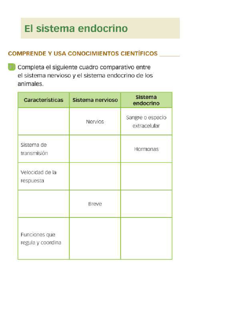 Act. Sistema Endocrino en Los Animales | PDF