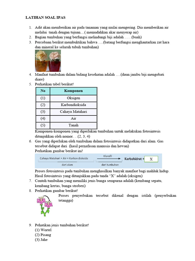 Latihan Soal Ipas | PDF