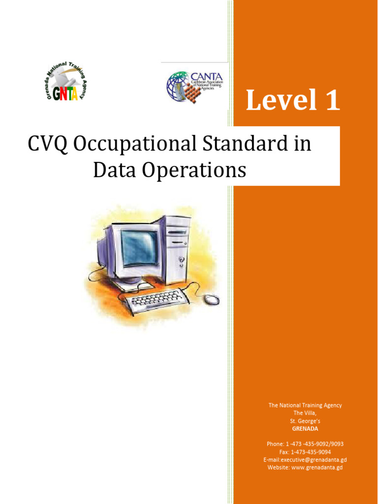 Data Operations Level 1 CVQ | PDF