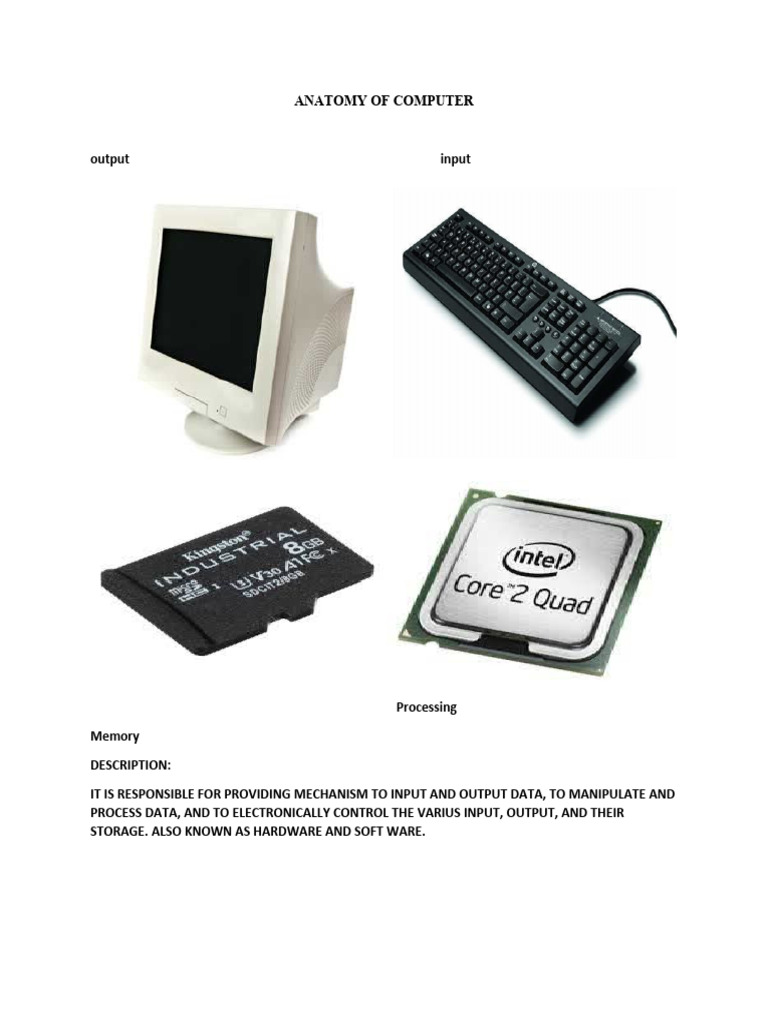 Anatomy of Computer | PDF