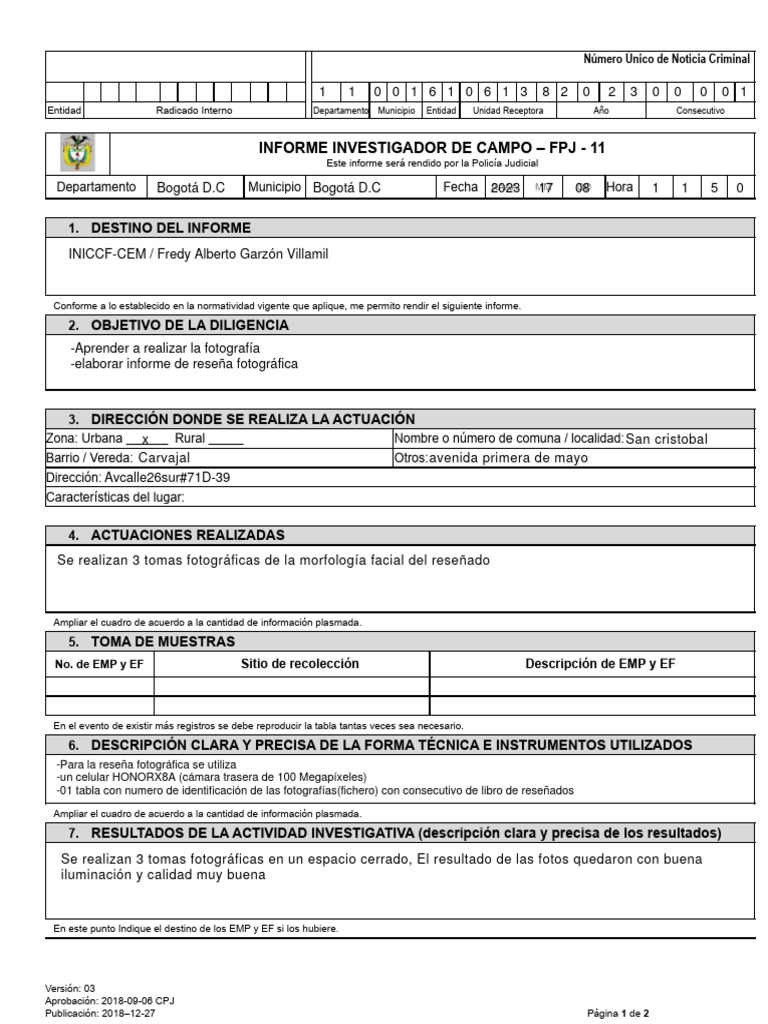 FPJ 11 Informe Investigador de Campo v1 | PDF