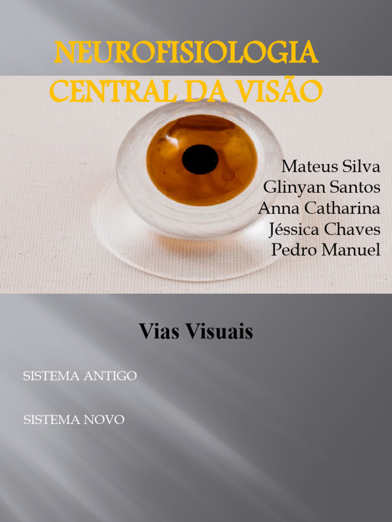Neurofisiologia Do Olho | PDF | Sistema visual | Córtex cerebral