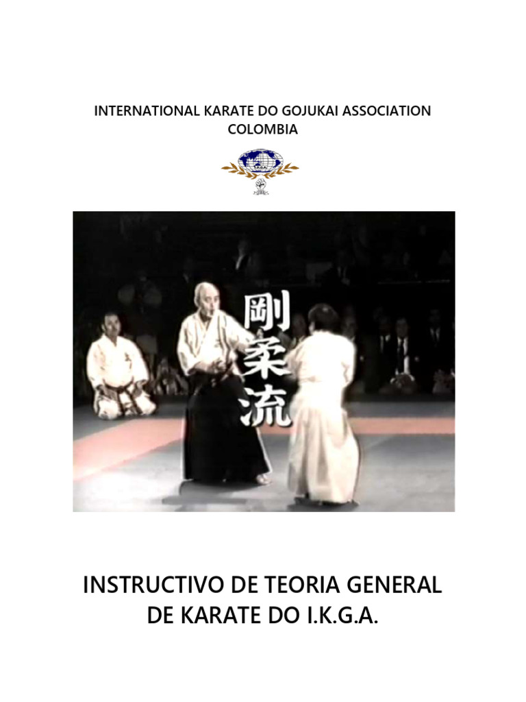 Conceptos Generales Ikga | PDF