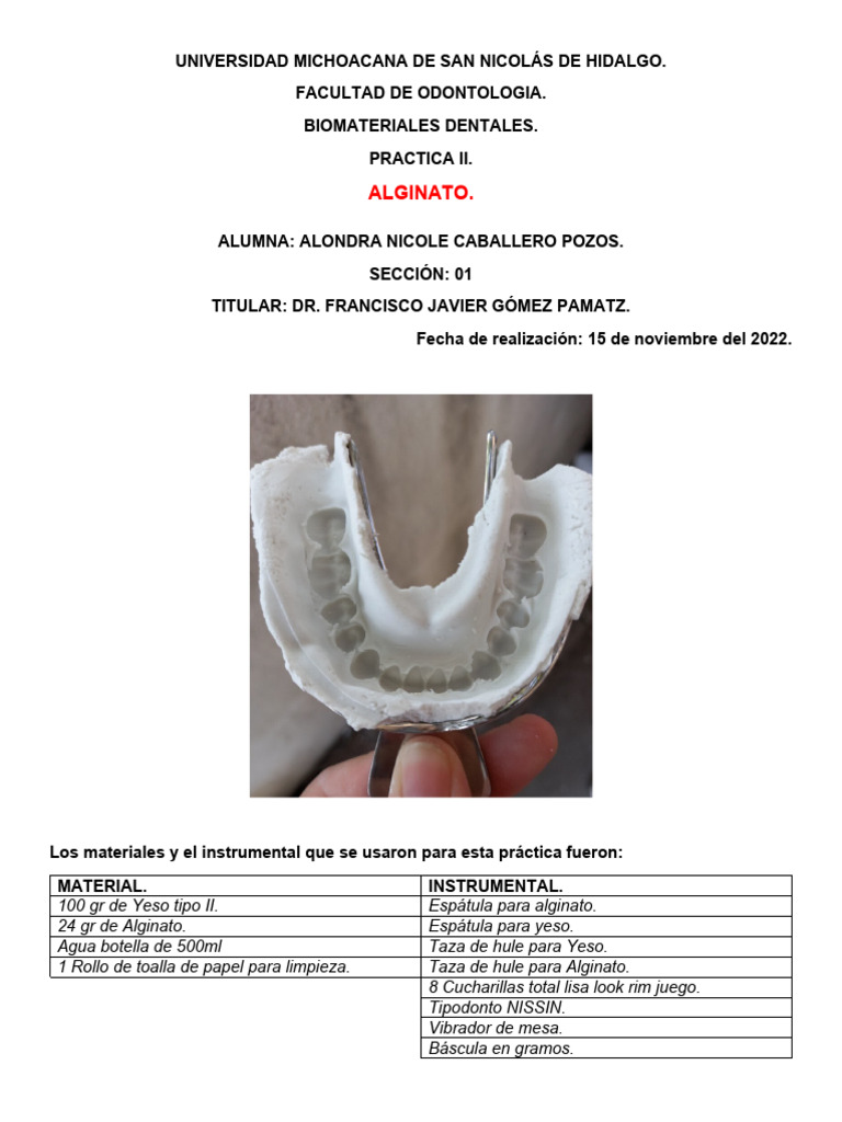Reporte de Practica - Practica Ii - Alginato - Alondra Nicole Caballero ...
