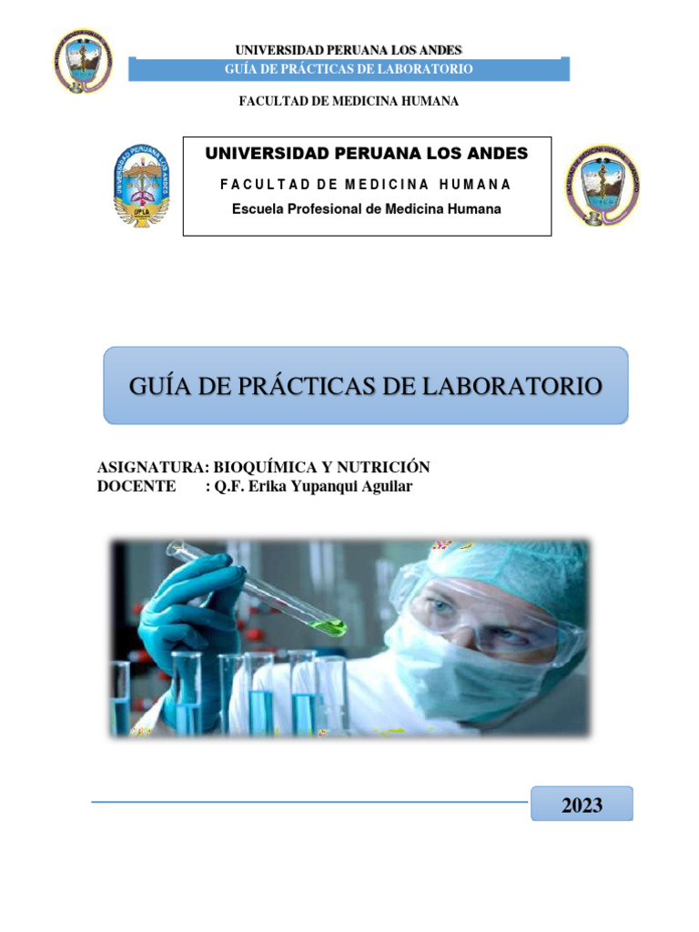 Guia de Practicas | PDF