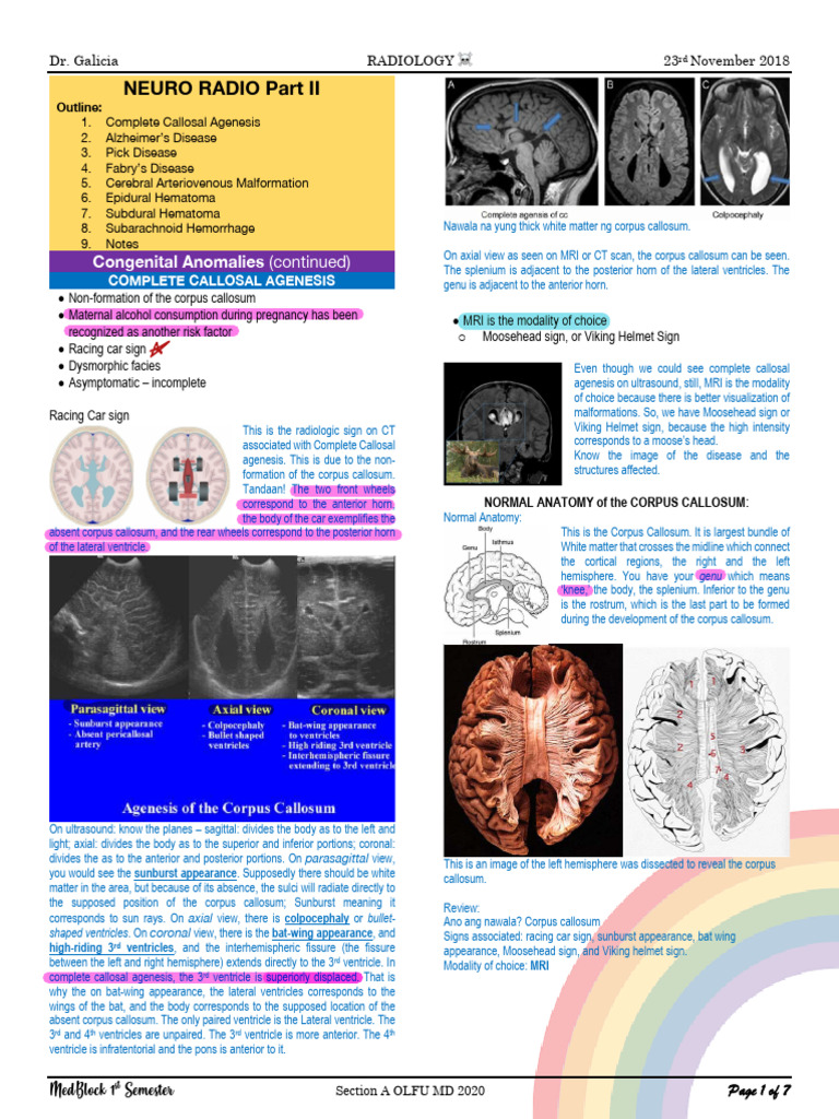 NEURO RADIO Part II | PDF