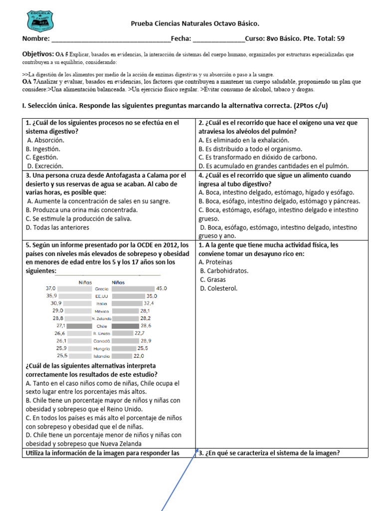 Prueba Ciencias Naturales Octavo Básico | PDF