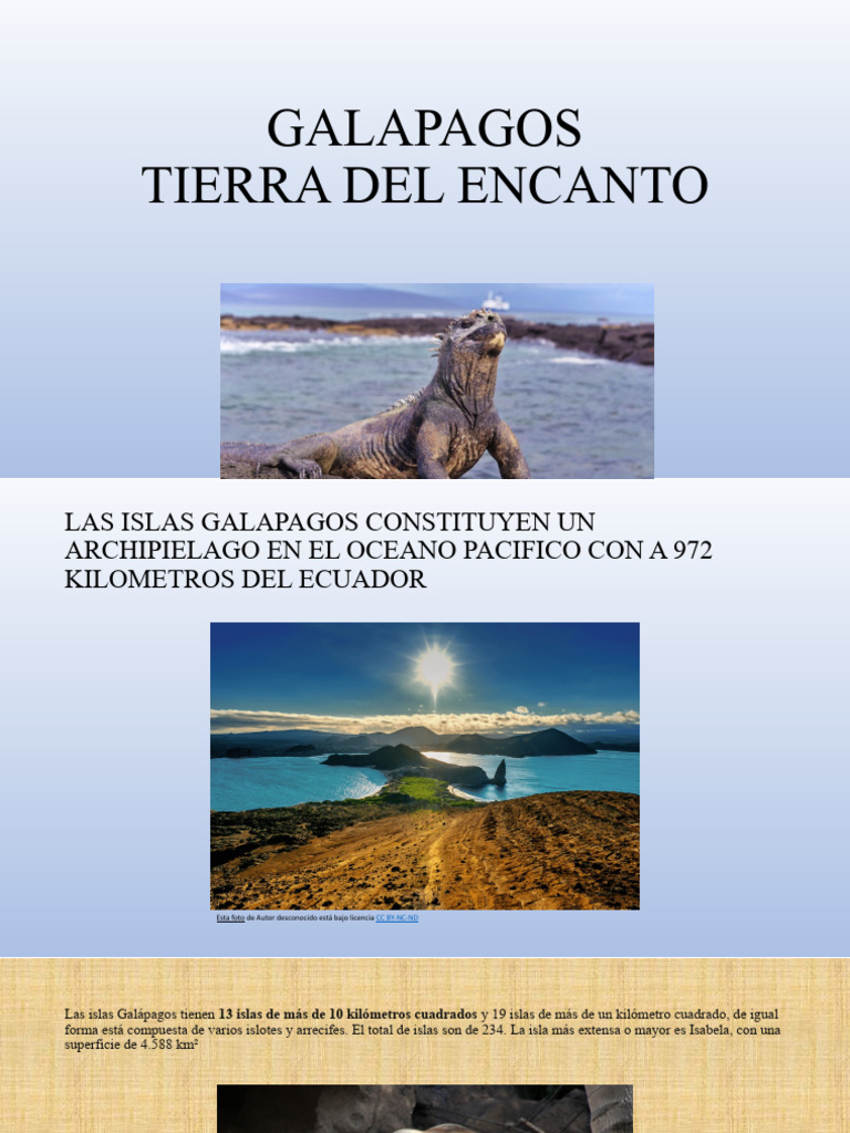 Ecuador | PDF | Ciencias sociales | Viajes y turismo