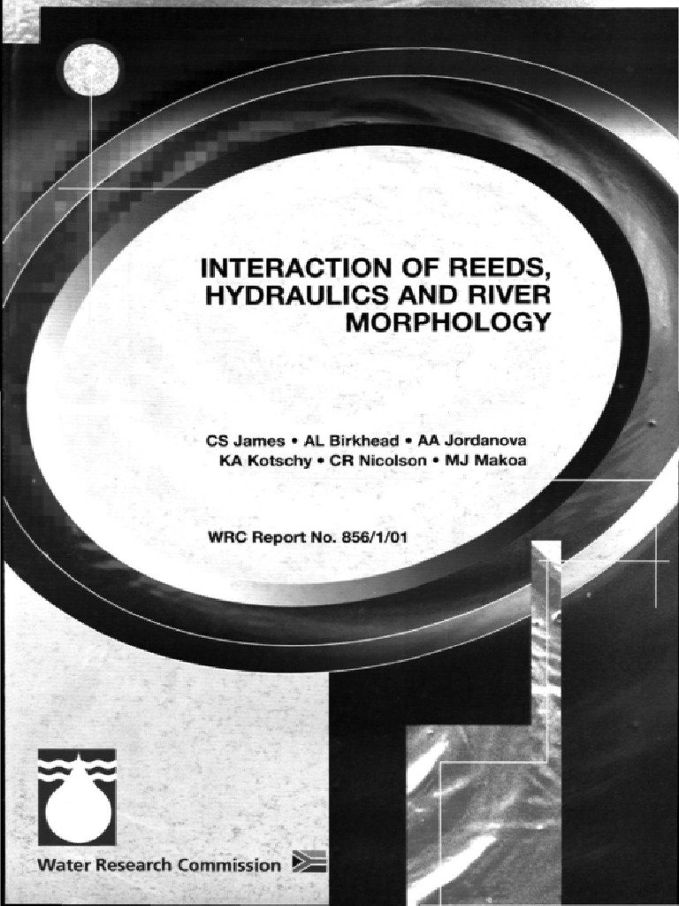 Reeds, Hydraulics, and River Morphology | PDF