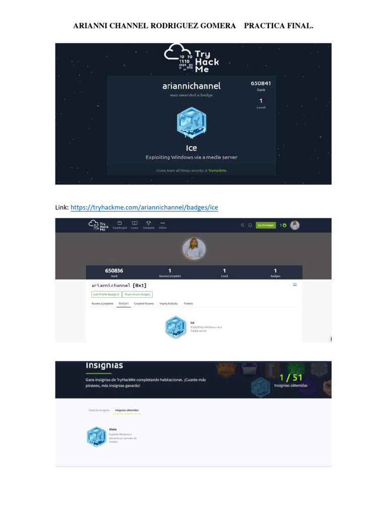 Hacker Etico Basico Practica Final. | PDF