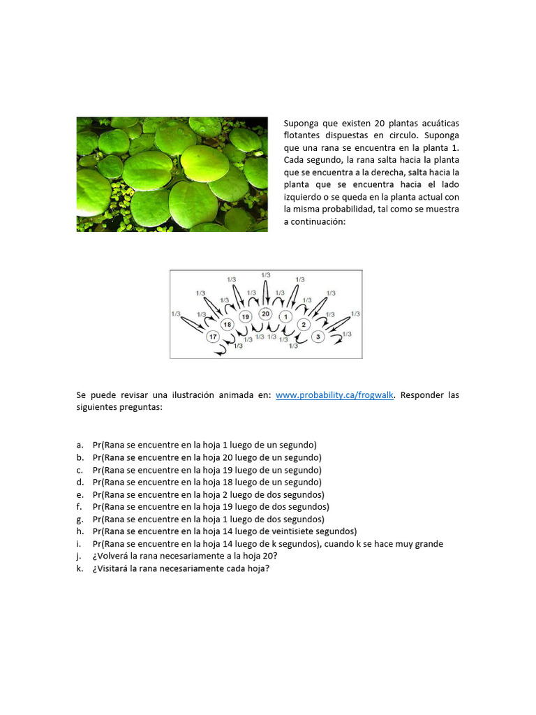 Random Frog Cap1 Pdf