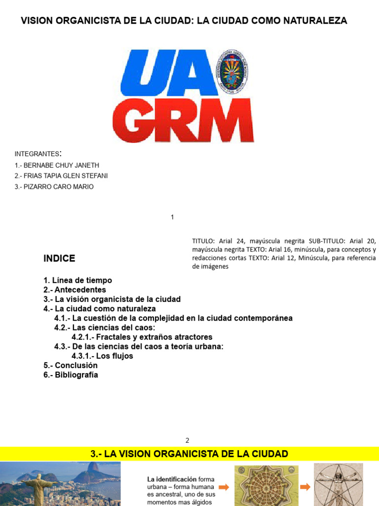 VISION ORGANICISTA DE LA CIUDAD | PDF