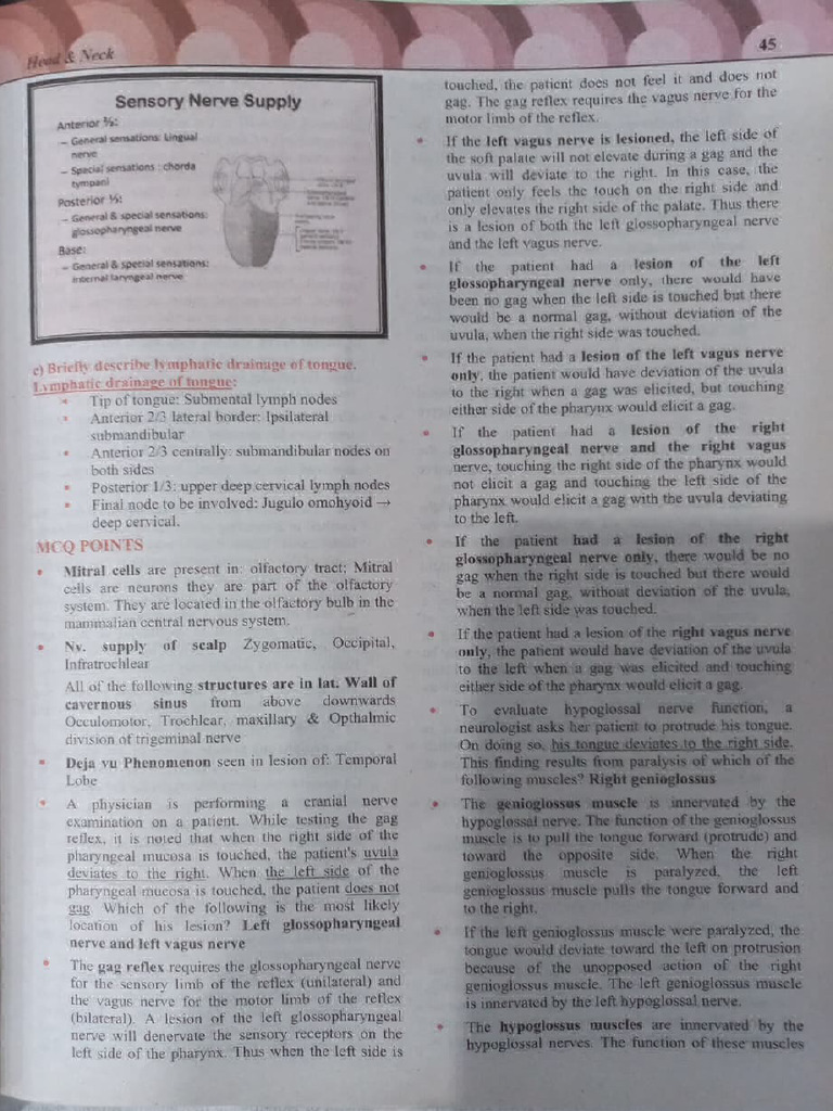 Amna Iqbal Head and Neck | PDF