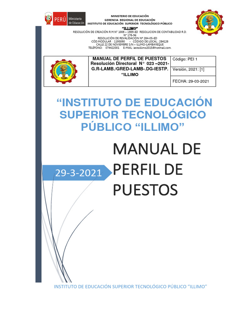 Manual de Perfil de Puestos 2021(1) | PDF