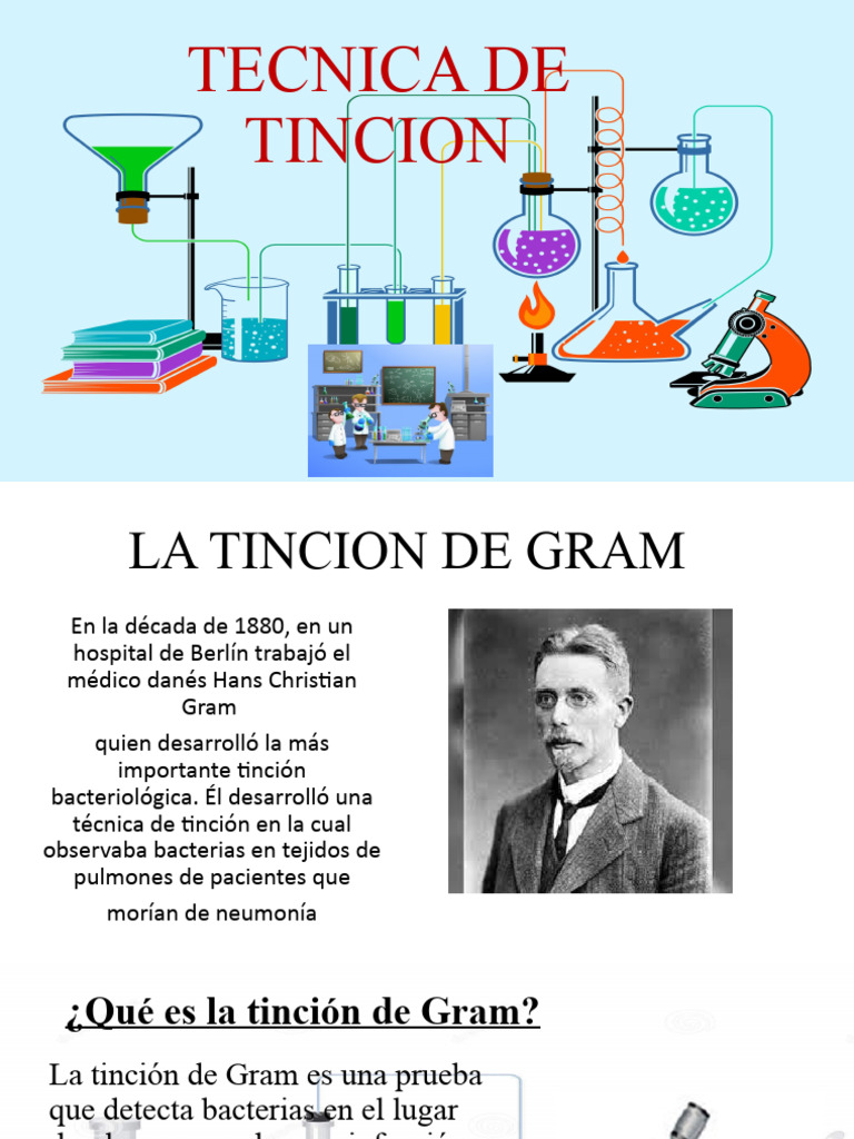 La Tincion de Gram | PDF | Bacterias Gram-negativo | Tinción