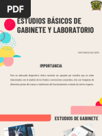 Estudios de Gabinete | PDF