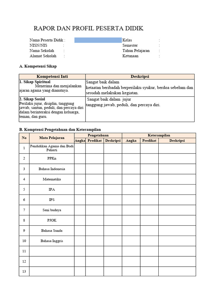 Format Raport | PDF