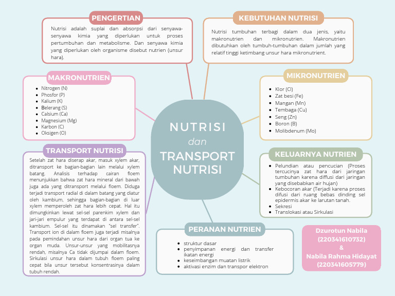 Mind Map Nutrisi Dan Transport Nutrisi | PDF