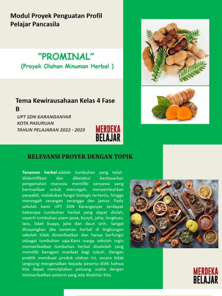 Modul P5 Fase B Kelas 4 - Kewirausahaan - Pengolahan Buah | PDF