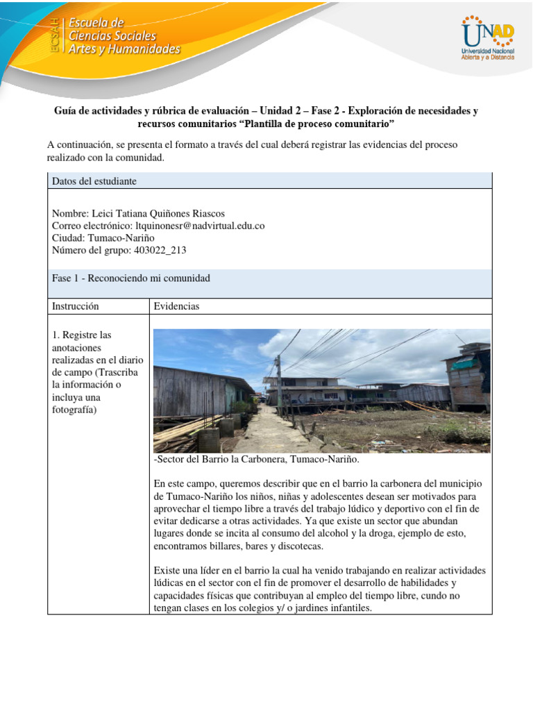 Anexo 1 - Plantilla Del Proceso Comunitario Tarea 2 | PDF