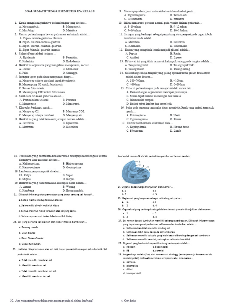 Soal Sumatif Tengah Semester Ipa Kelas 8 | PDF