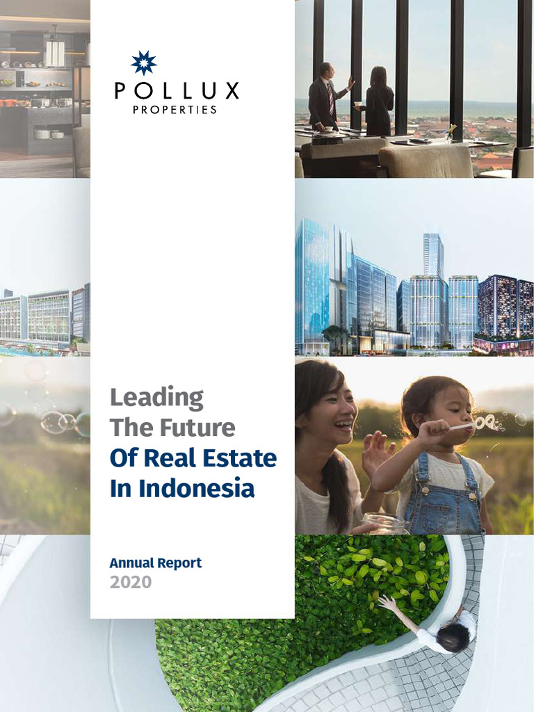 Annual Report Ppi 2020 | PDF