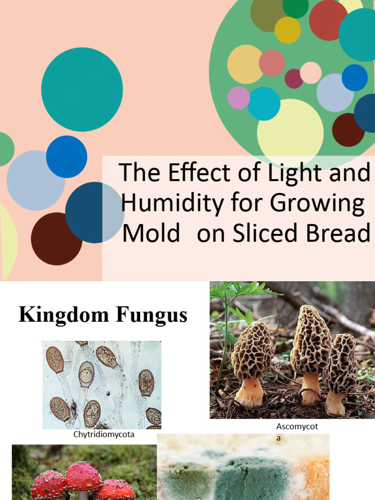 Anushkka Gupta - 3 - X Diamond - Effect On Bread Mould | Download Free ...