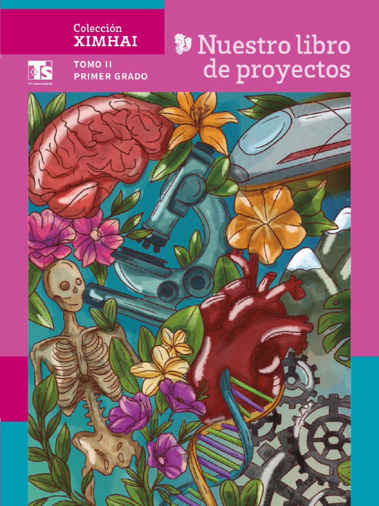 Proyectos Telesec I-2 | PDF