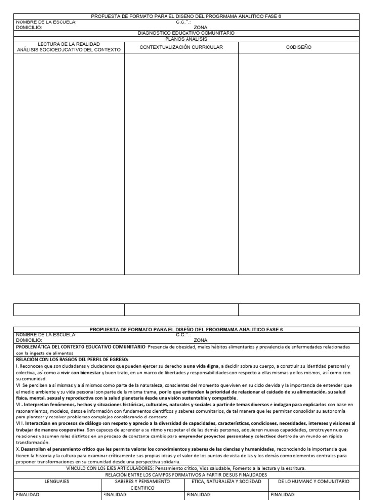 Propuesta de Formato para El Diseño Del Progrmama Analitico Fase 6 | PDF | Evaluación | Aprendizaje