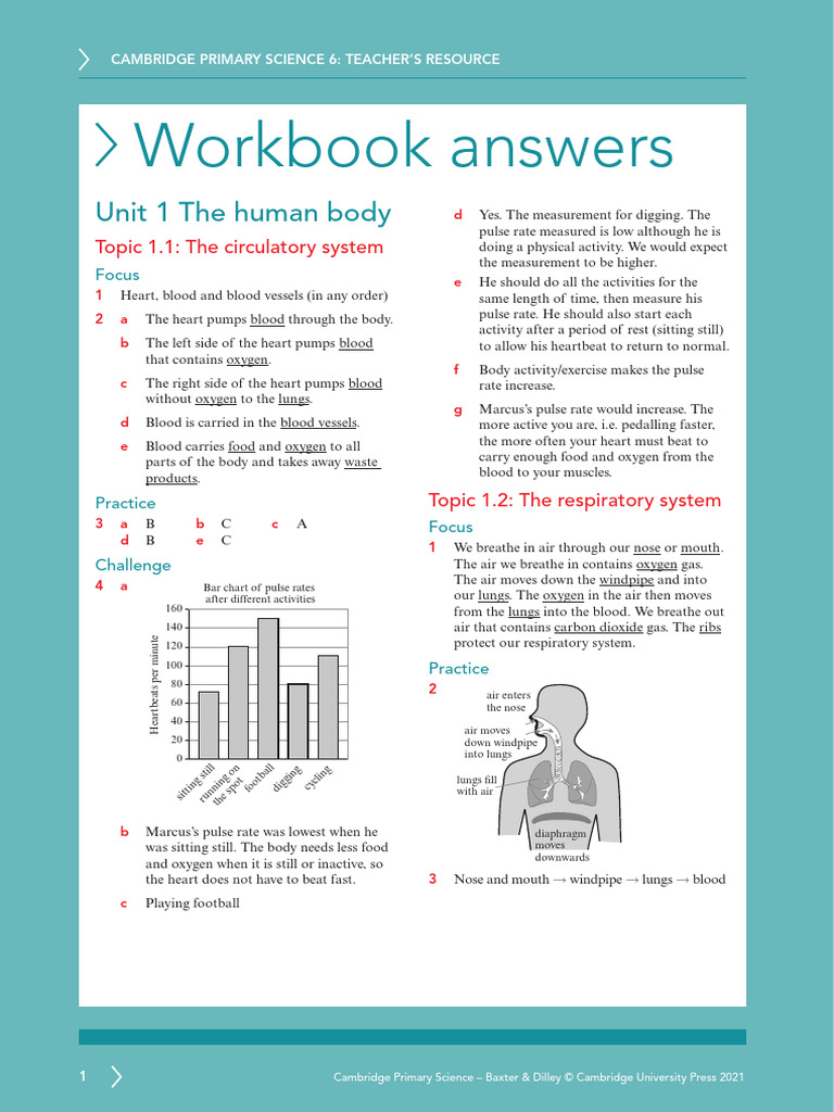 P Science 6 Workbook Answers | PDF | Rock (Geology) | Igneous Rock