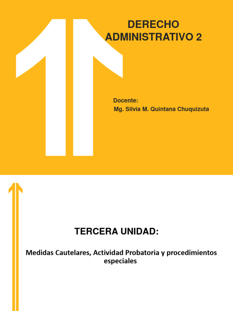Procedimiento Trilateral Pdf