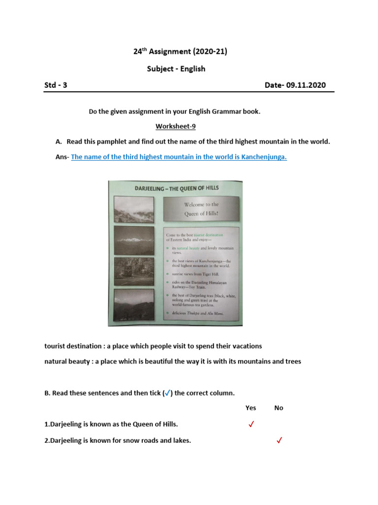 24 Assignment (2020-21) Subject - English STD - 3 Date-09.11.2020 | PDF | Peafowl
