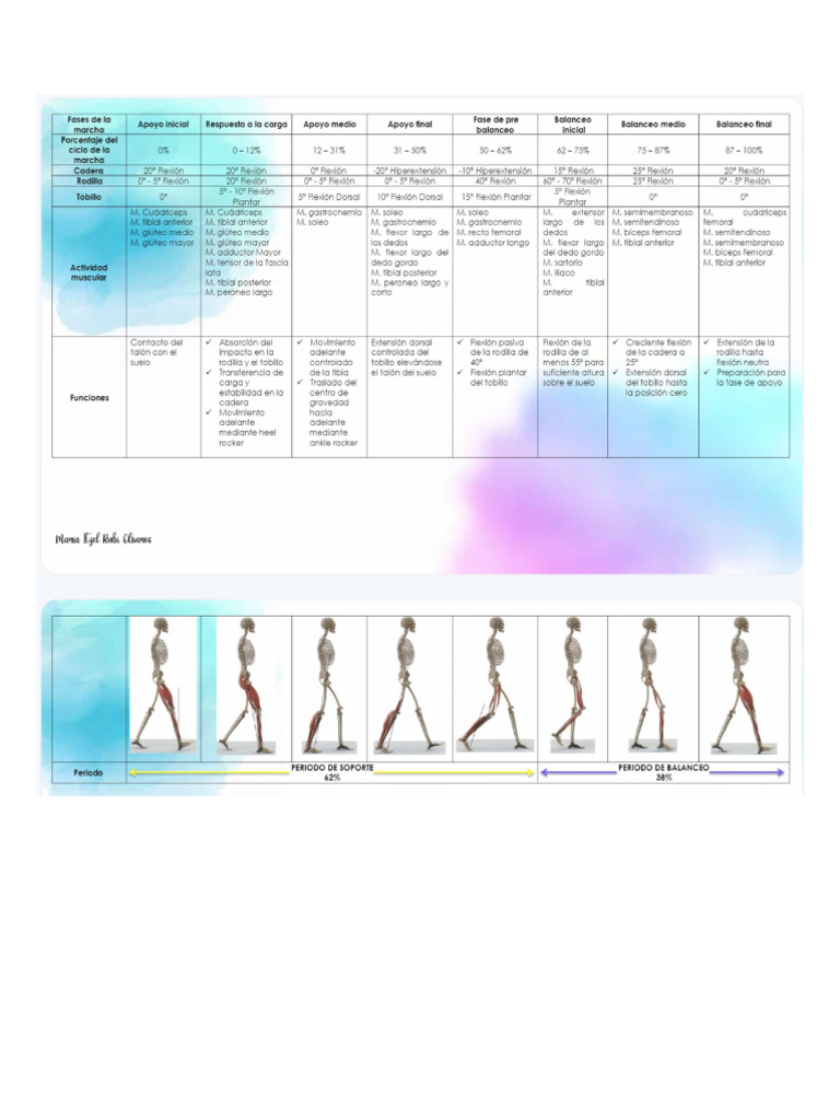 Fases de La Marcha | PDF