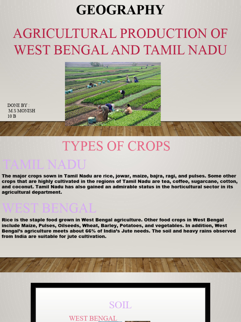 GEOGRAPHY Agricultural Production | Download Free PDF | Physical ...