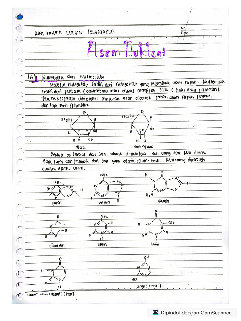 Rifa Zahida Listiani - Resume Asam Nukleat | PDF