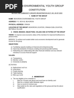 Group Constitution Writing Guidelines | PDF