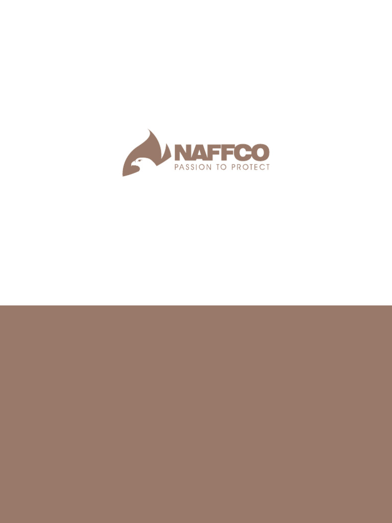 NAFFCO Company Profile - Compressed | PDF | United Arab Emirates | Dubai