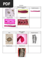 Tabel Uji Biokimia Tabel: Uji Biokimia Bakteria Batang Gram Negatif ...