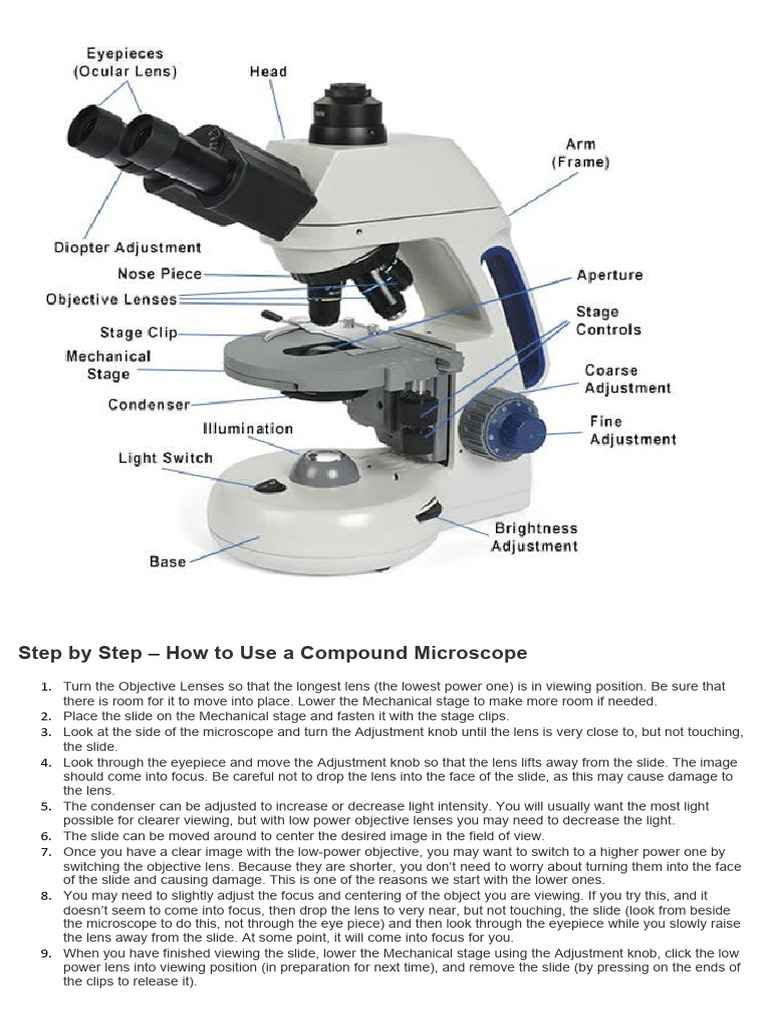 MICROSCOPE | PDF