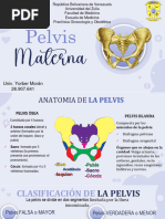PELVIMETRIA | PDF | Pelvis | Sistema esquelético