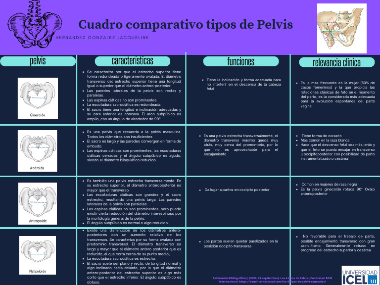 Cuatro tipos de pelvis y sus características | PDF | Pelvis | Parto