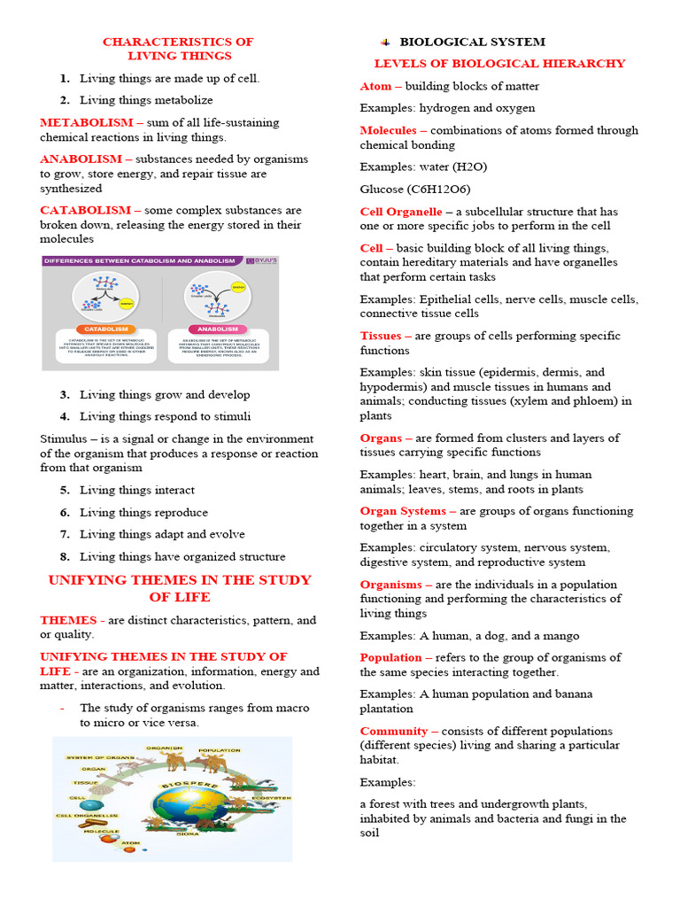 Unifying Themes in The Study of Life | PDF | Tissue (Biology) | Organisms