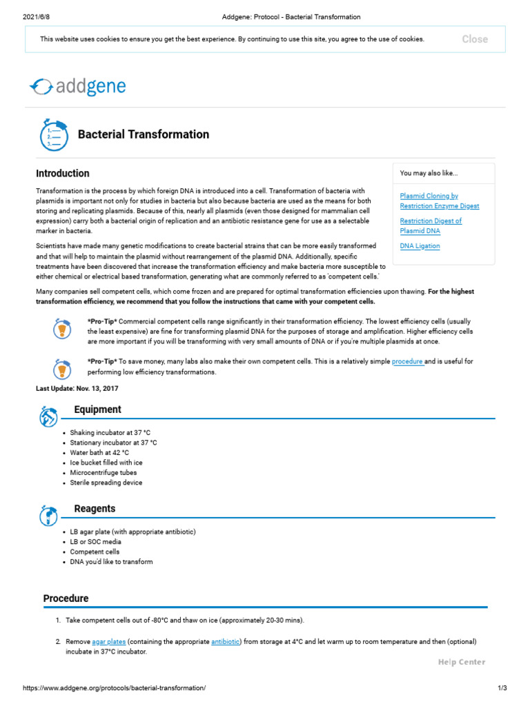 Addgene_ Protocol - Bacterial Transformation | PDF