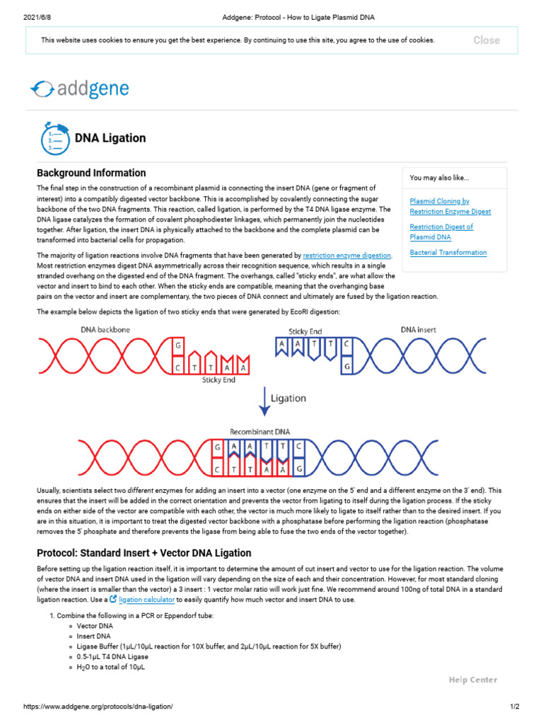 Addgene_ Protocol - How to Ligate Plasmid DNA | PDF | Dna Ligase | Plasmid