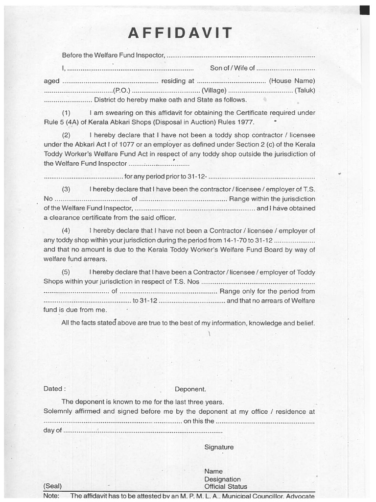AFFIDAVIT | PDF