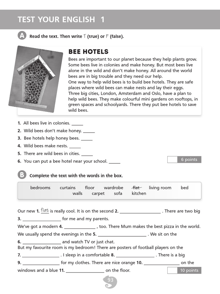 Test Your English 1: Bee Hotels | PDF | Bees | Bedroom