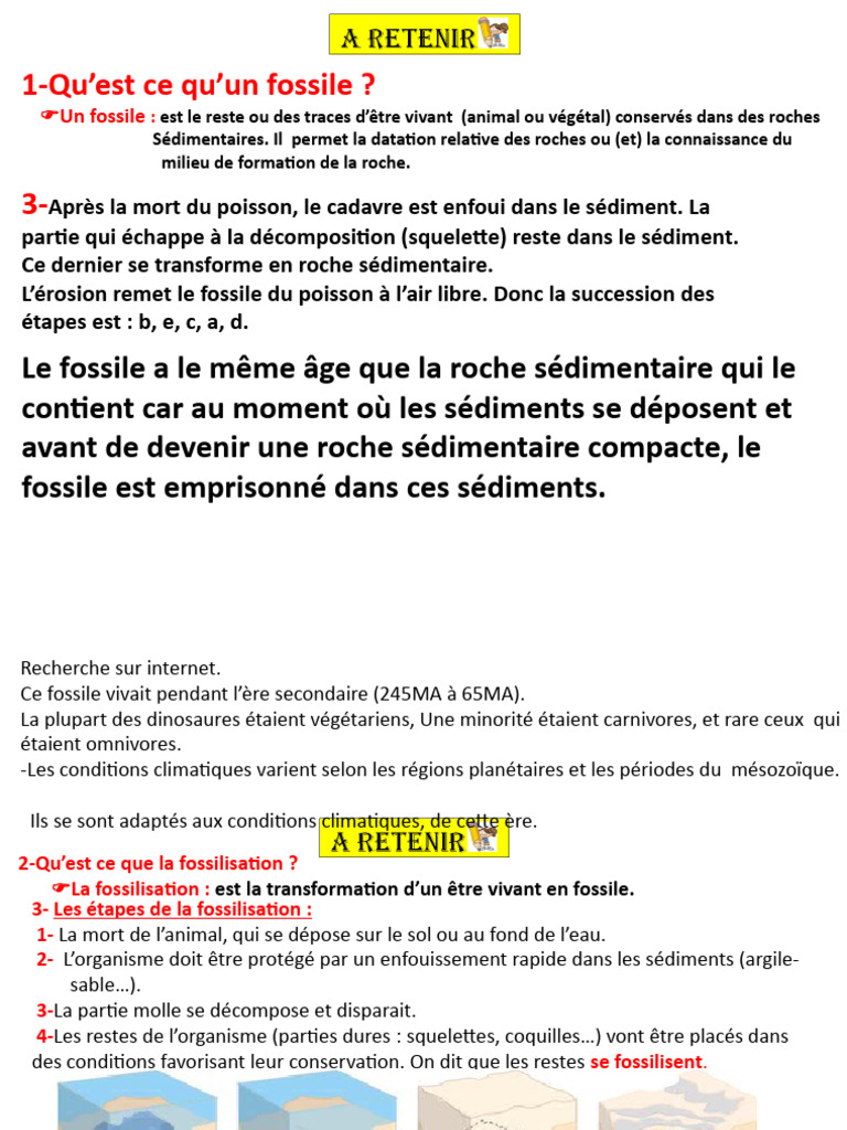 P2 1 APIC Chapitre3 Activité1 | PDF