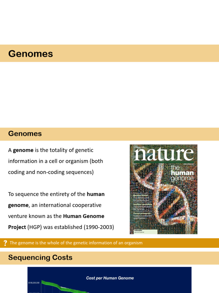 3.1-2 Genomes | PDF