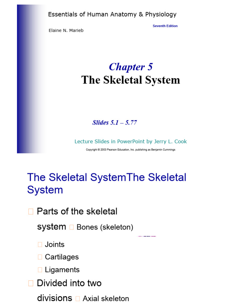 Skeletal System | PDF | Bone | Arthritis