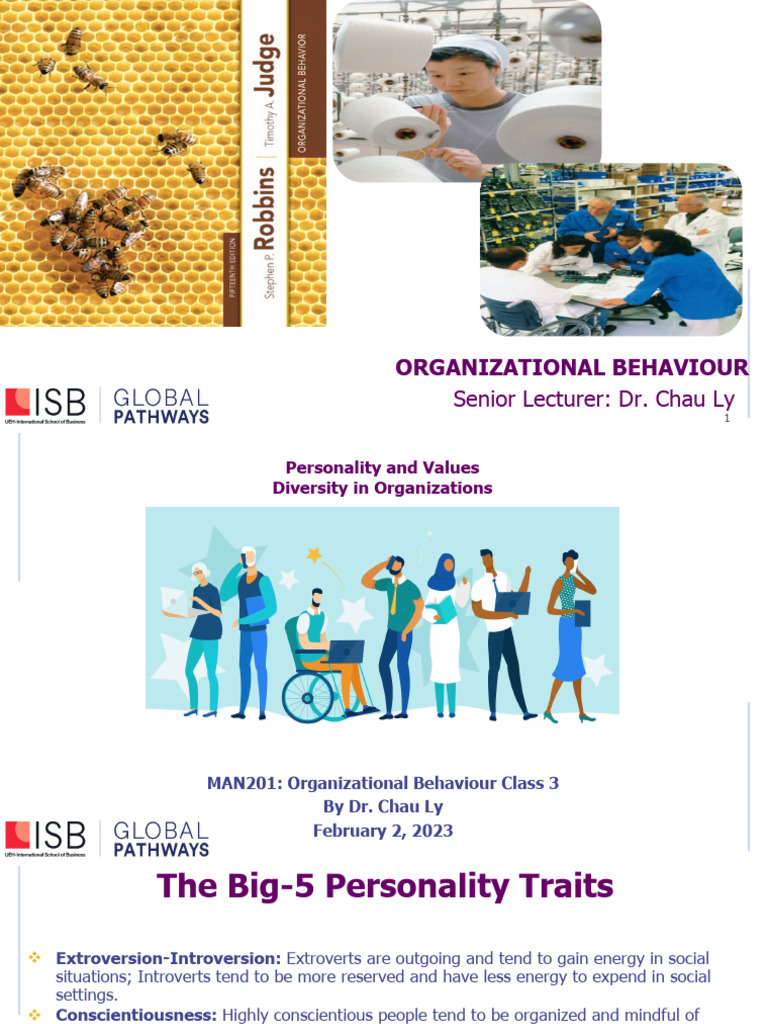 MAN201 - Class 3 - Personality + Values - Diversity in Organizations ...